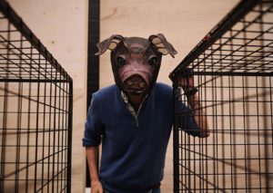 Animal Farm de opera in première bij DNO - Place de l'Opera